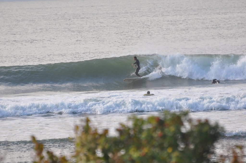 Forerunner: Hurricane Igor. – Surf is Swell