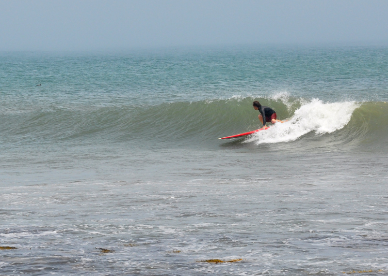 perf7 – Surf is Swell